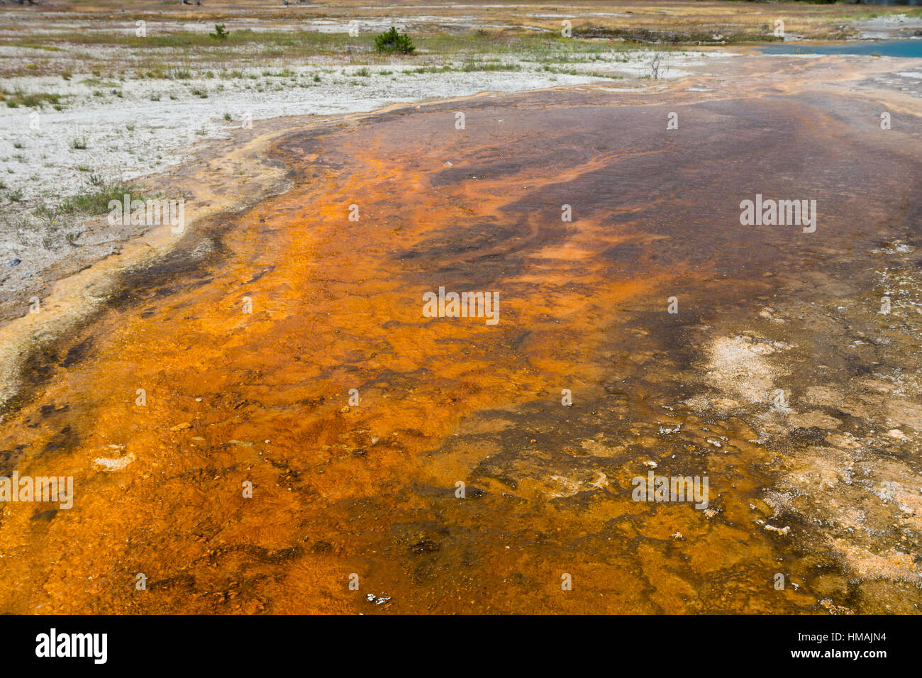 Biscuit Basin, Yellowstone National Park, Wyoming, USA Stock Photo - Alamy