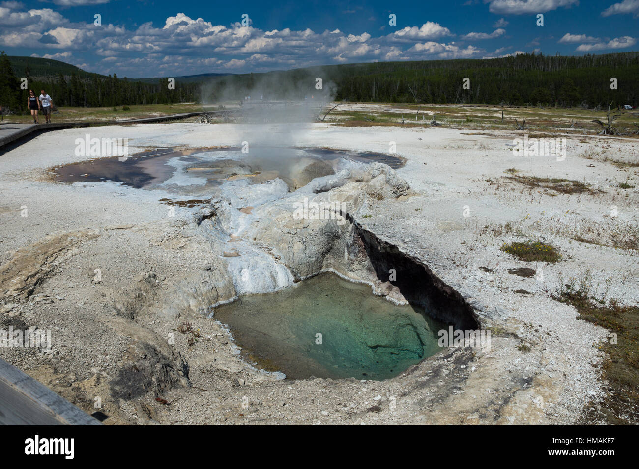 Biscuit Basin, Yellowstone National Park, Wyoming, USA Stock Photo - Alamy