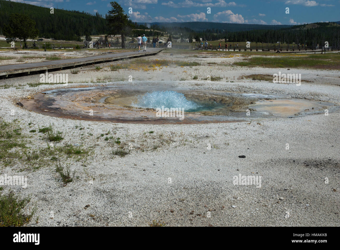 Biscuit Basin, Yellowstone National Park, Wyoming, USA Stock Photo - Alamy