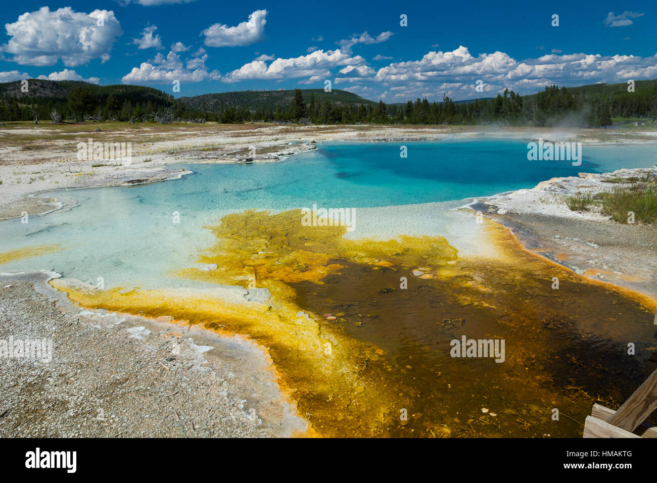 Biscuit Basin, Yellowstone National Park, Wyoming, USA Stock Photo - Alamy