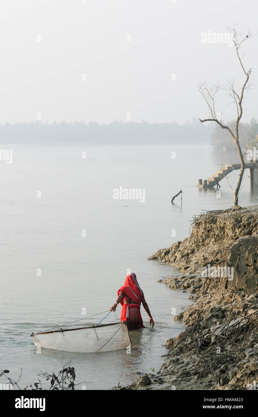 Indian woman searching the delta of the Ganges River for the food in ...