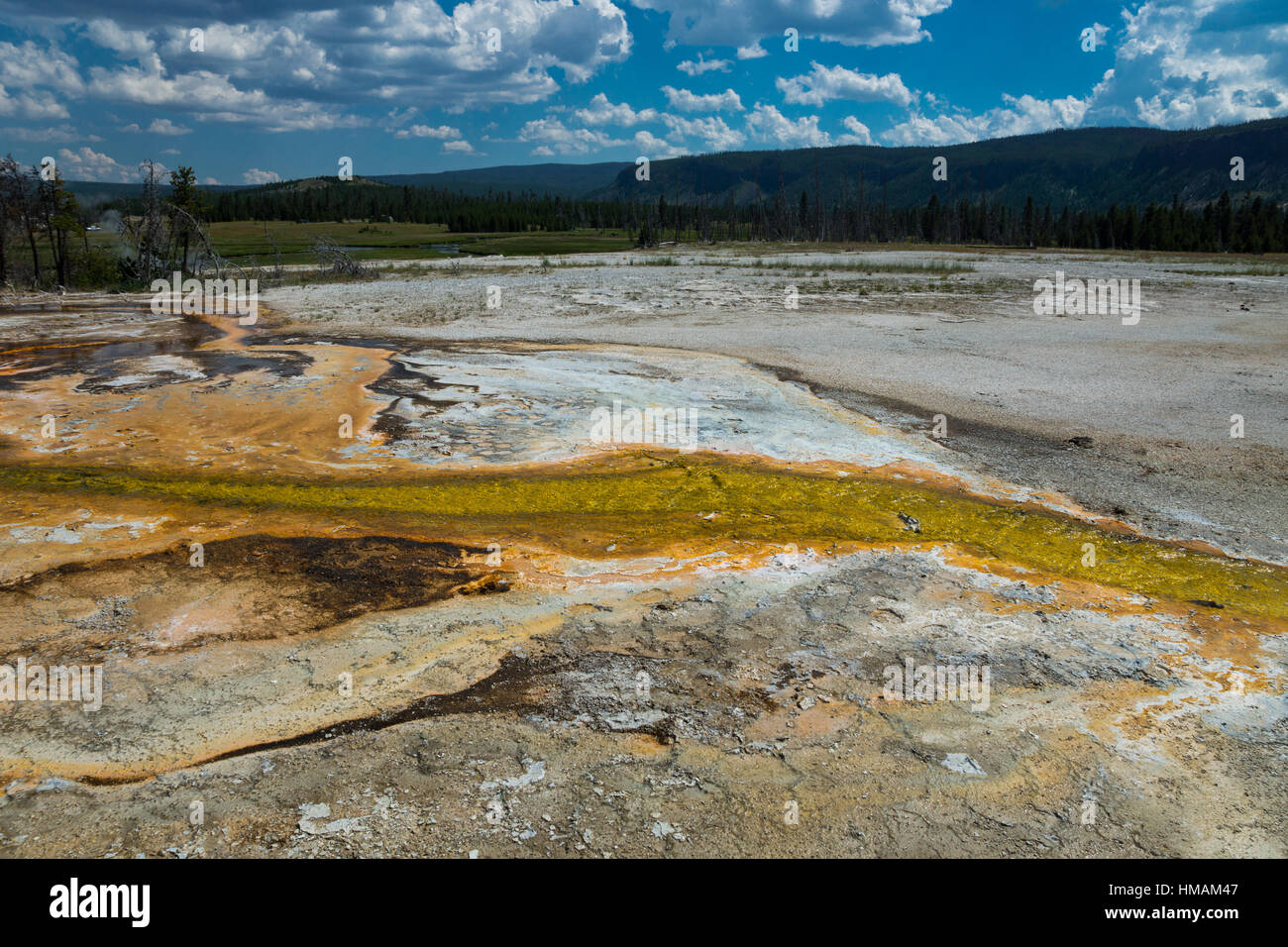 Biscuit Basin, Yellowstone National Park, Wyoming, USA Stock Photo - Alamy