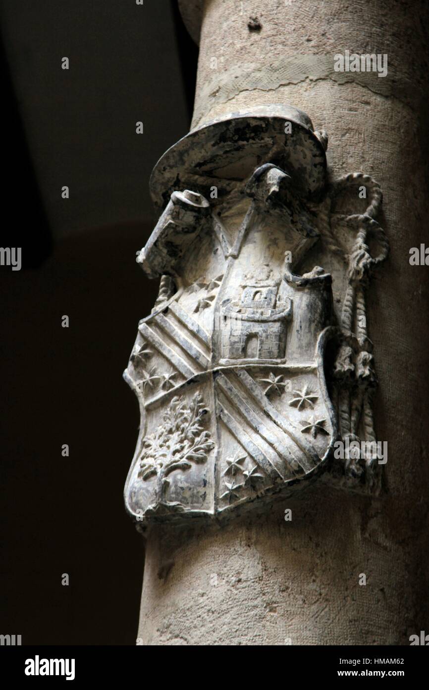 Palace shield hi-res stock photography and images - Alamy