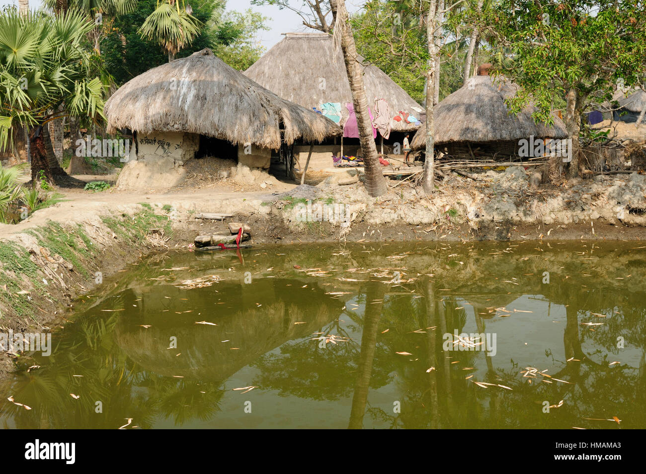 Sundarbans Jungle National Park in India. The bigest delta river on the ...