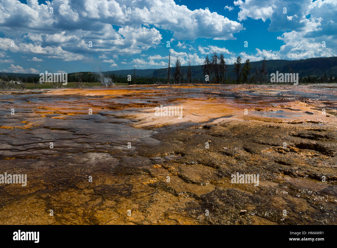 Biscuit Basin, Yellowstone National Park, Wyoming, USA Stock Photo - Alamy