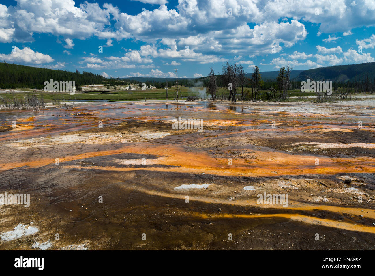 Biscuit Basin, Yellowstone National Park, Wyoming, USA Stock Photo - Alamy