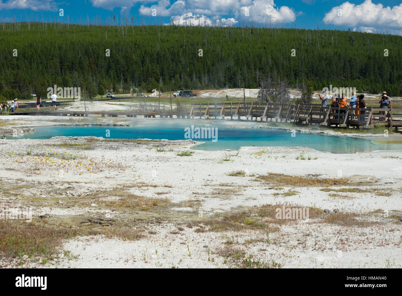 Biscuit Basin, Yellowstone National Park, Wyoming, USA Stock Photo - Alamy