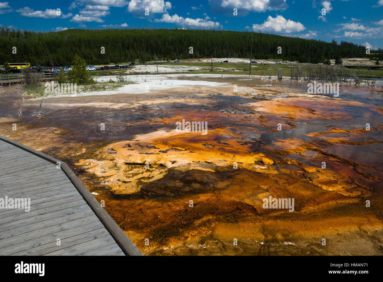 Biscuit Basin, Yellowstone National Park, Wyoming, USA Stock Photo - Alamy