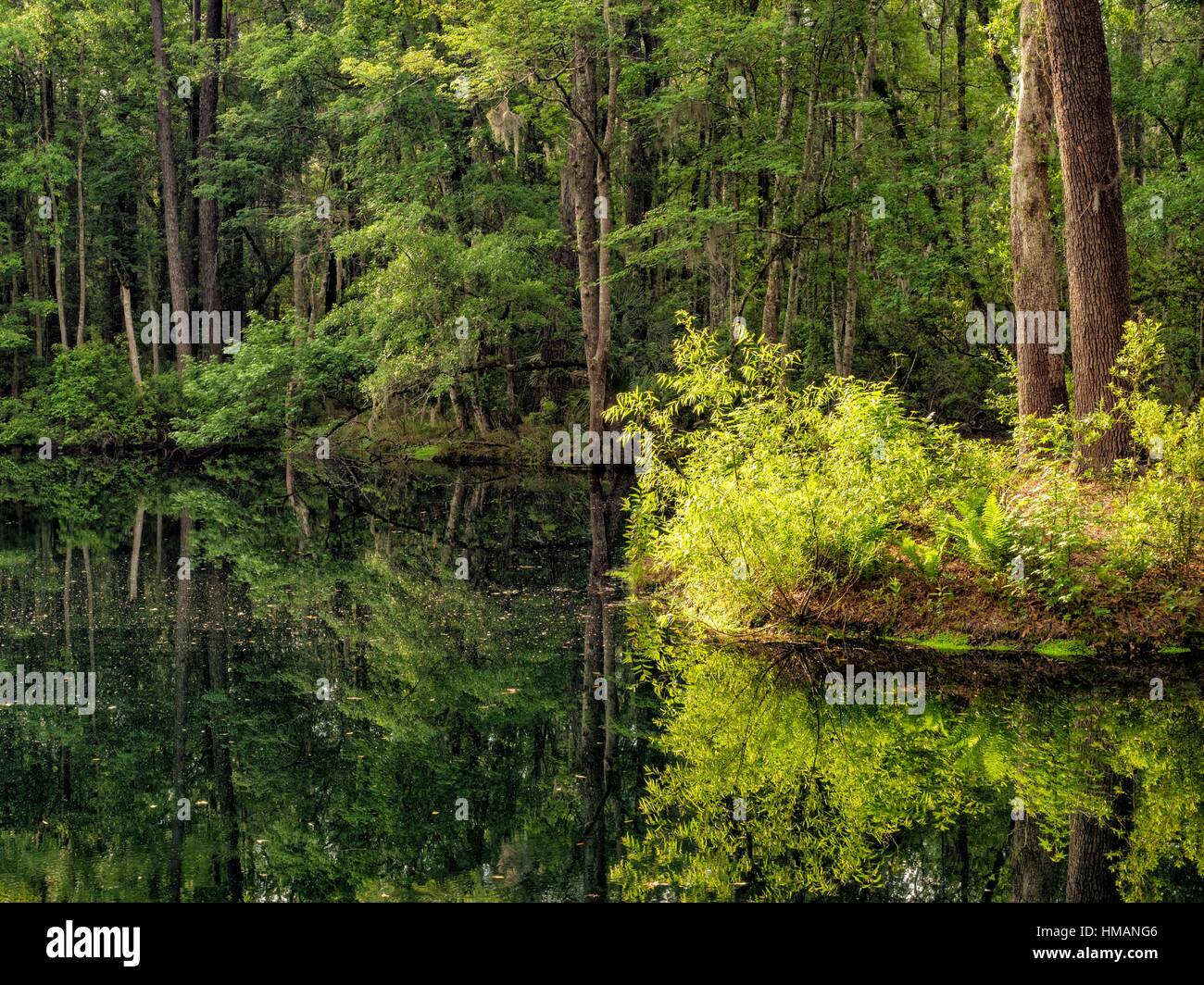 Darien, georgia usa hi-res stock photography and images - Alamy