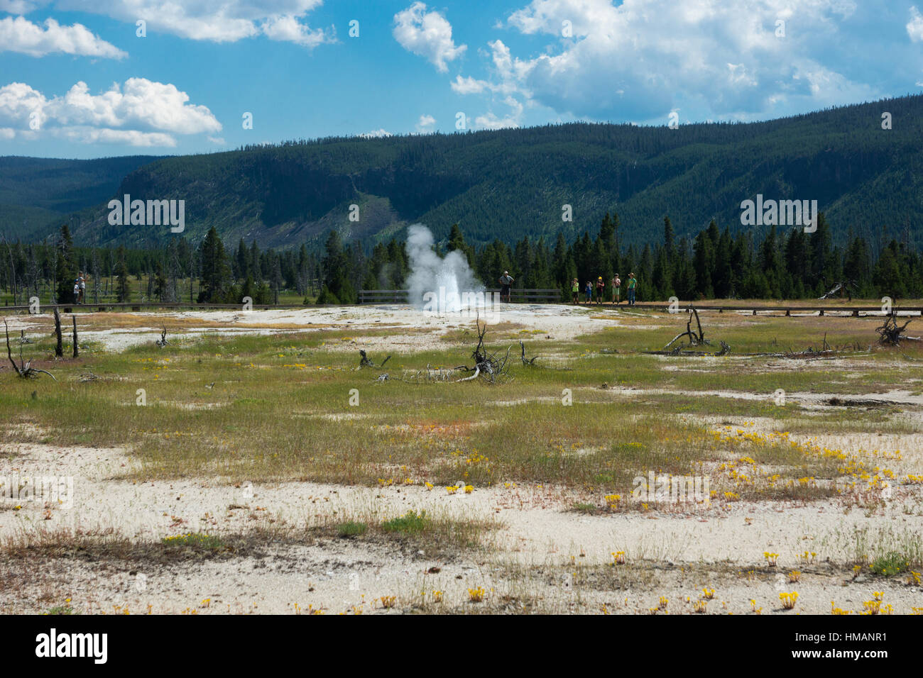 Biscuit Basin, Yellowstone National Park, Wyoming, USA Stock Photo - Alamy
