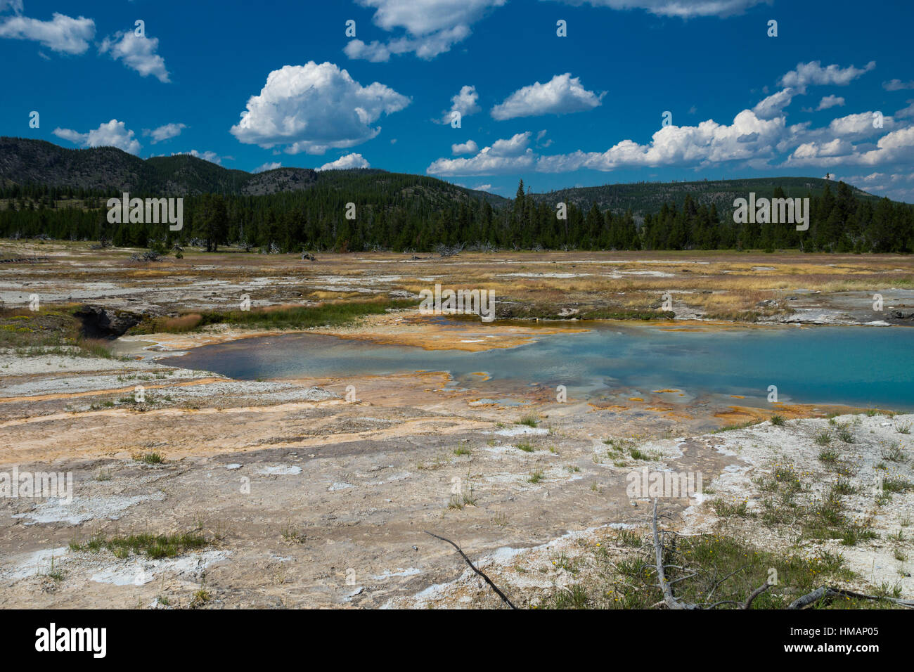 Biscuit Basin, Yellowstone National Park, Wyoming, USA Stock Photo - Alamy