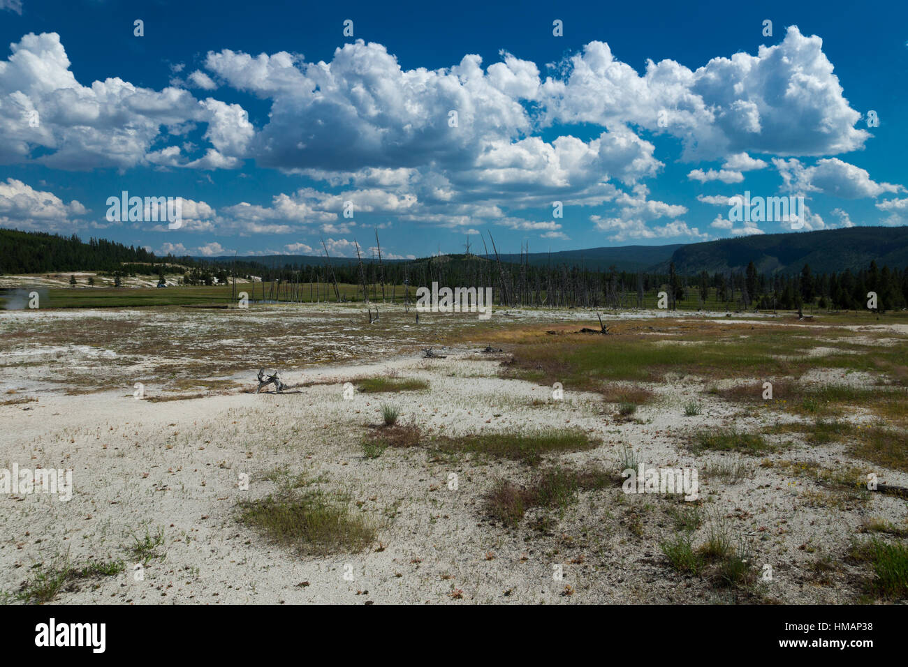 Biscuit Basin, Yellowstone National Park, Wyoming, USA Stock Photo - Alamy