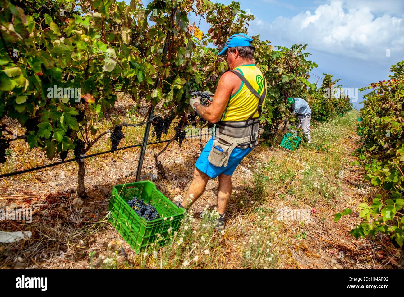 Season workers hi-res stock photography and images - Alamy