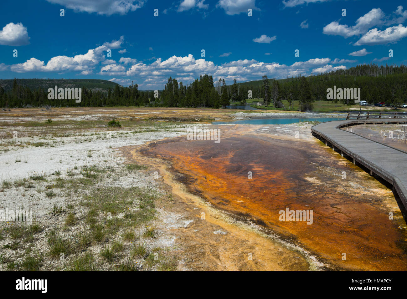 Biscuit Basin, Yellowstone National Park, Wyoming, USA Stock Photo - Alamy