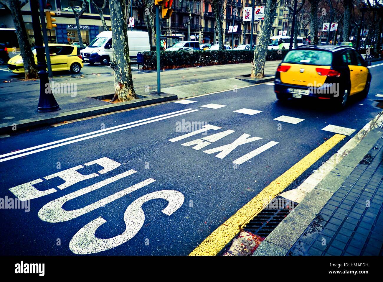 Taxi and bus lane, street. Barcelona, Catalonia, Spain Stock Photo - Alamy