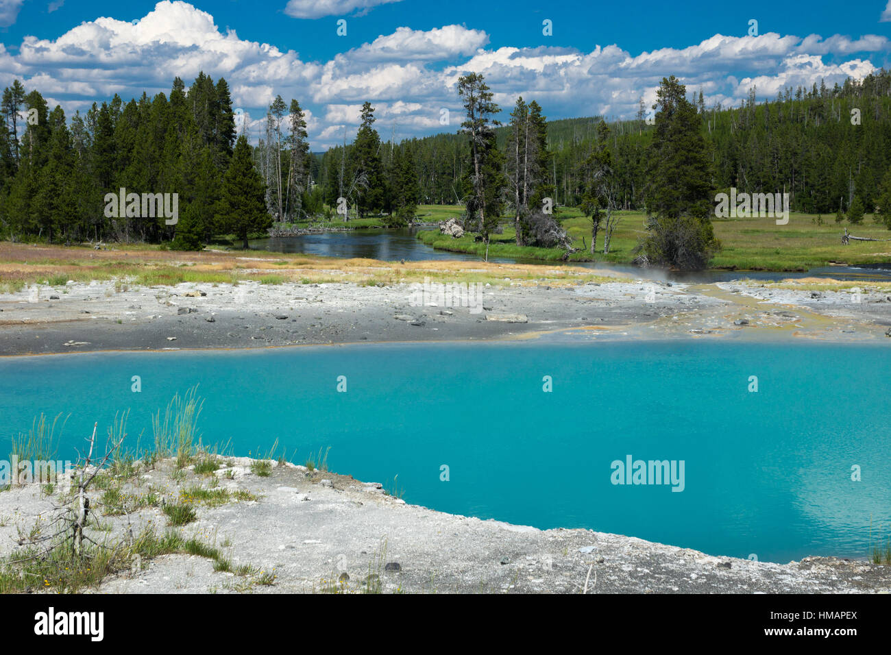 Biscuit Basin, Yellowstone National Park, Wyoming, USA Stock Photo - Alamy