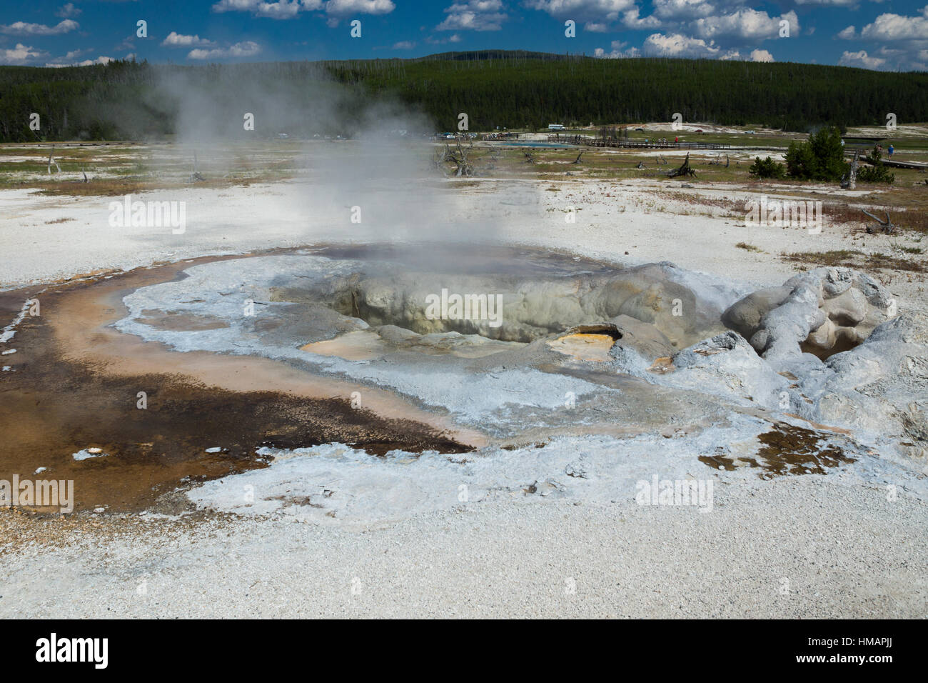 Biscuit Basin, Yellowstone National Park, Wyoming, USA Stock Photo - Alamy