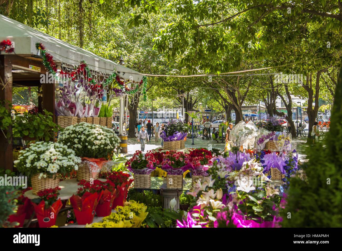 Rio machado hi-res stock photography and images - Alamy