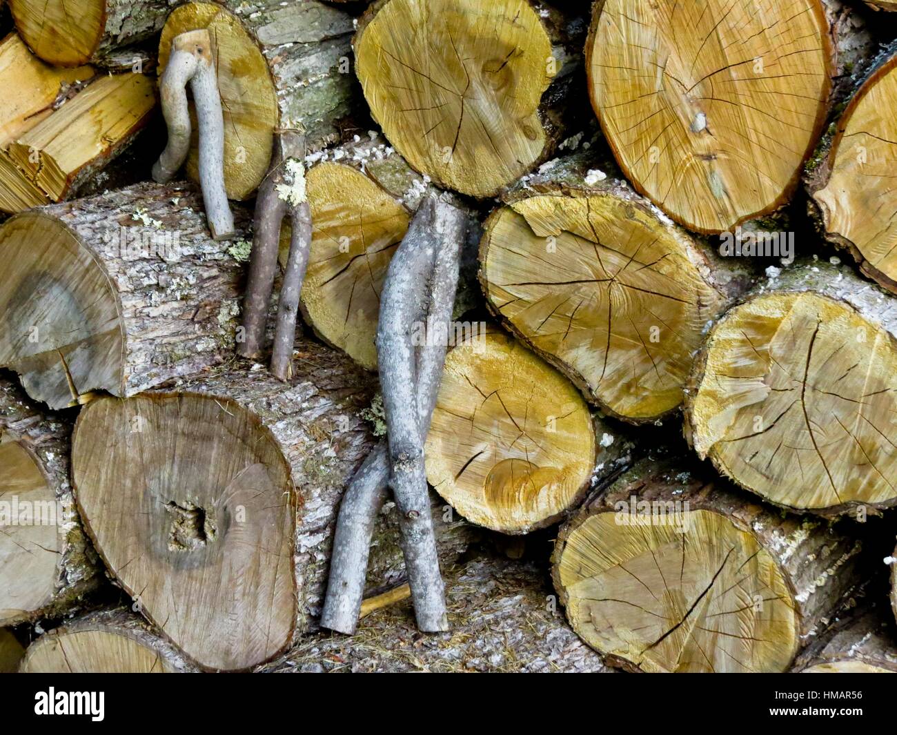 Woodpile art hi-res stock photography and images - Alamy