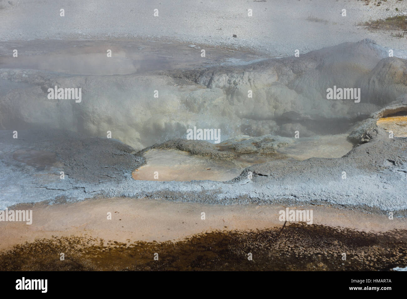 Biscuit Basin, Yellowstone National Park, Wyoming, USA Stock Photo - Alamy