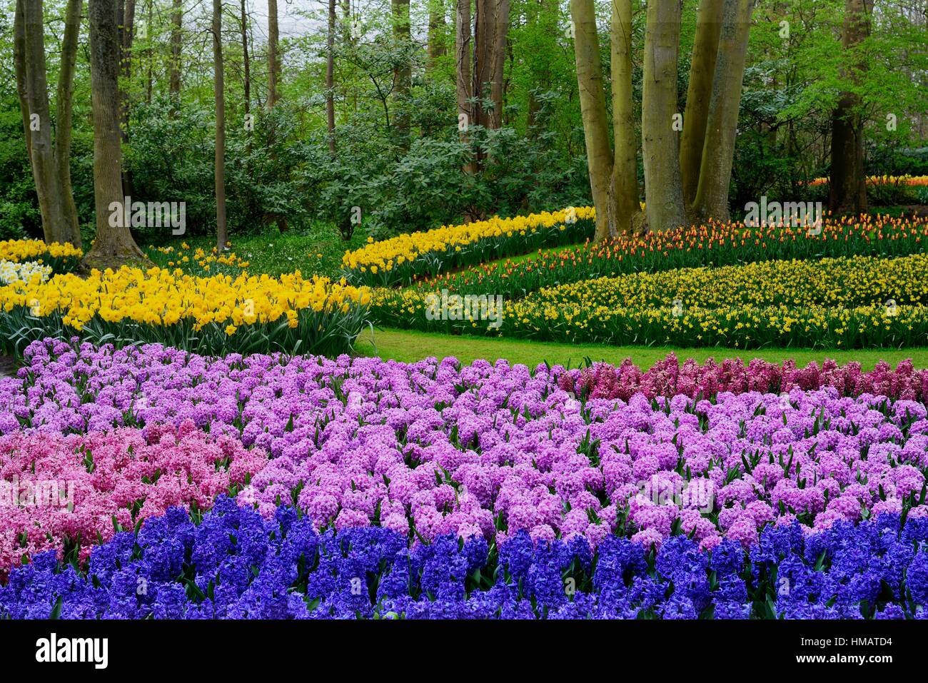 Dutch garden design hi-res stock photography and images - Alamy