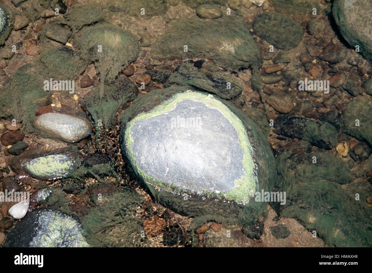 Iridescent rocks with traces of sulfur, Lesvos island, Greece Stock ...