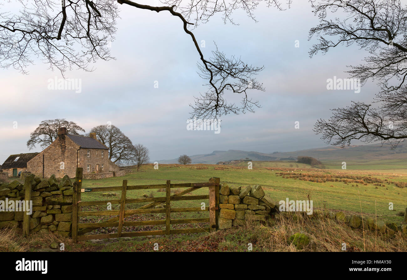 Hadrian's Wall: the view to the east, towards the Aesica Roman fort and ...