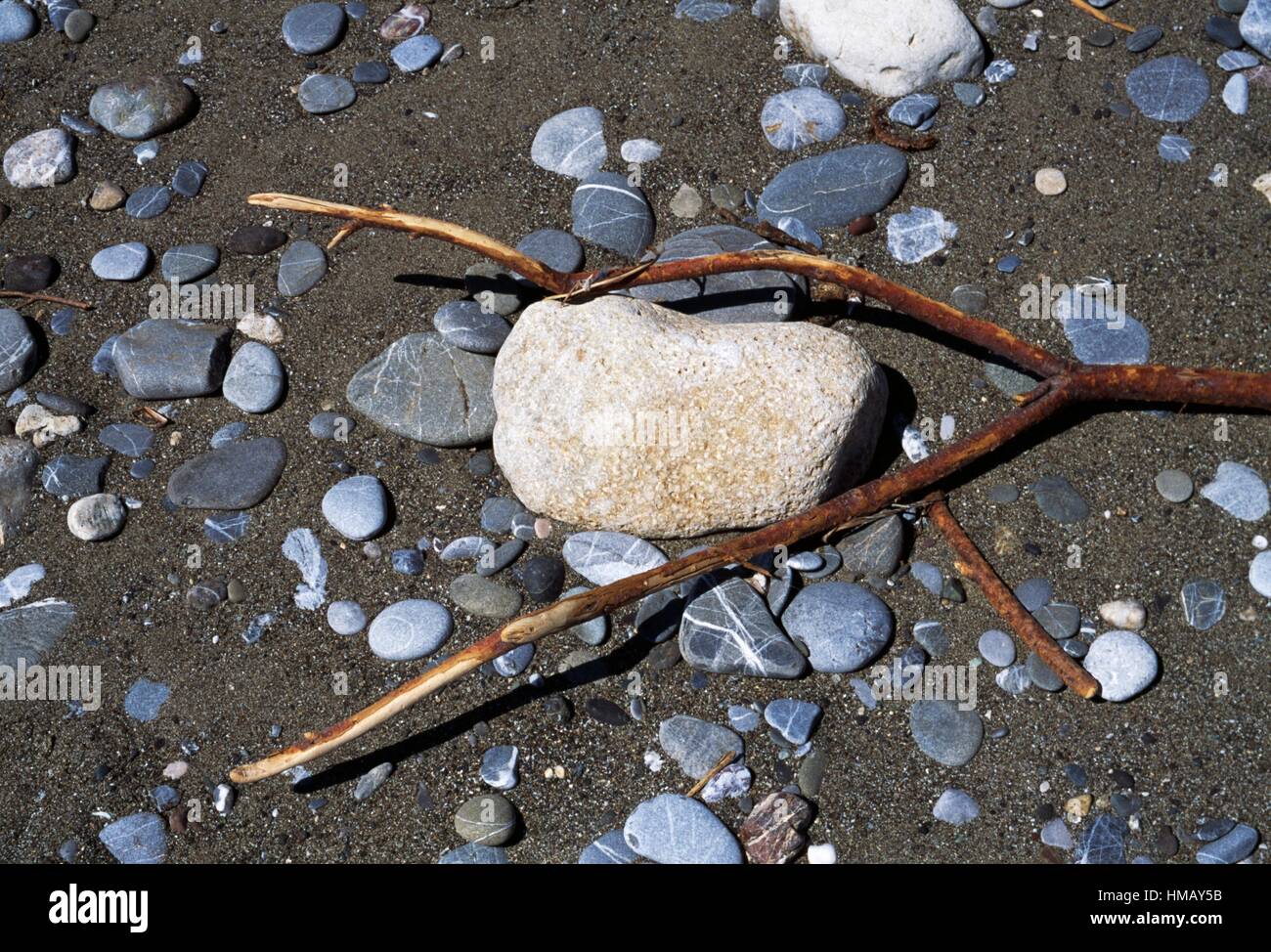 Rock and branch on the sand, Crete, Greece Stock Photo - Alamy