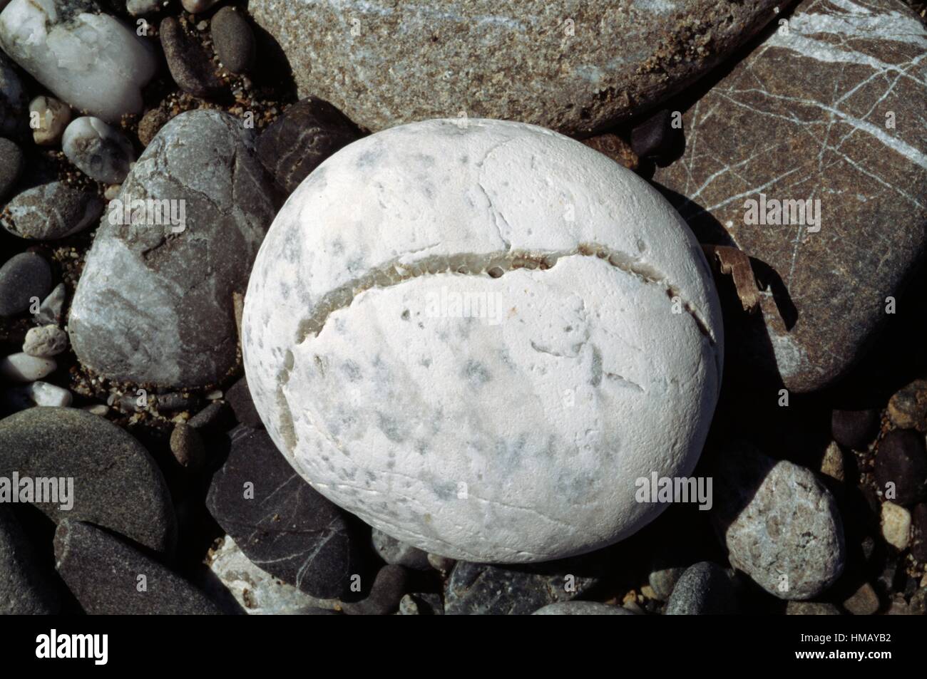 Rocks with lines, Crete, Greece Stock Photo - Alamy