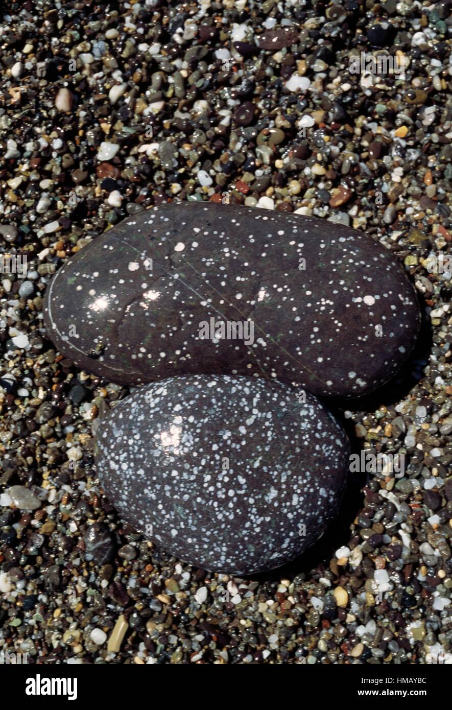 Rocks spotted with white dots, Keratokambos, Crete, Greece Stock Photo ...