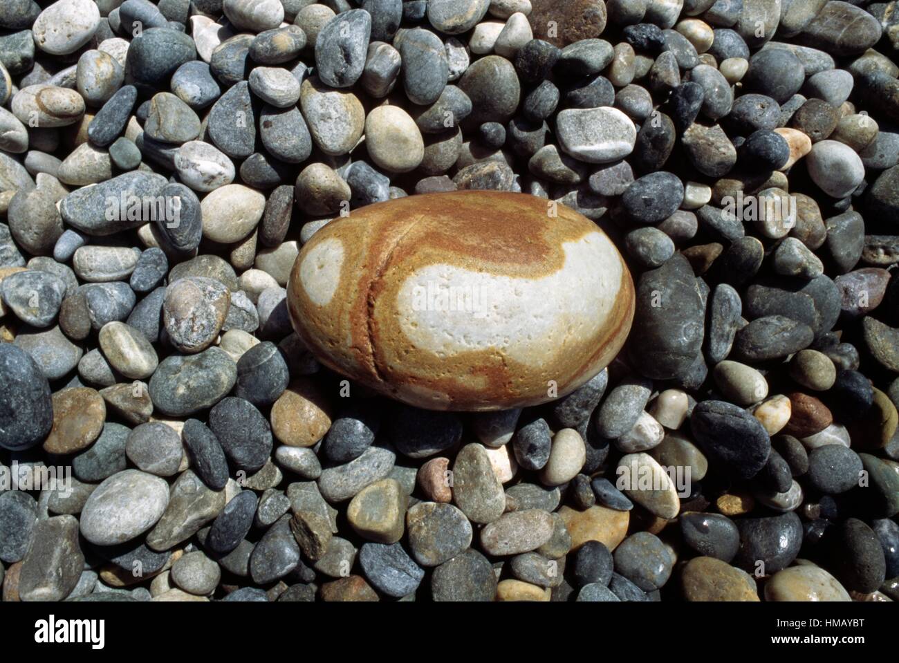 White mottled stone on rock hi-res stock photography and images - Alamy