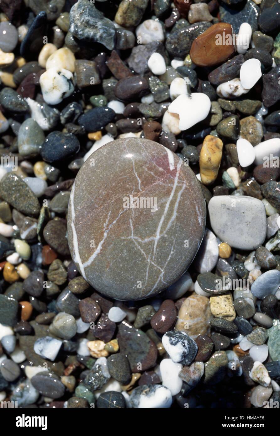 Grey rock with white lines on gravel, Keratokambos, Crete, Greece Stock ...