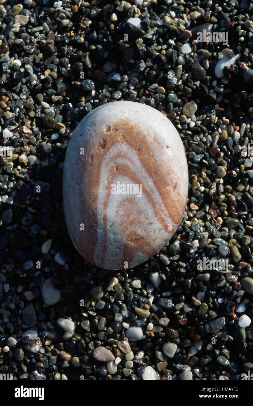 Mottling hi-res stock photography and images - Alamy