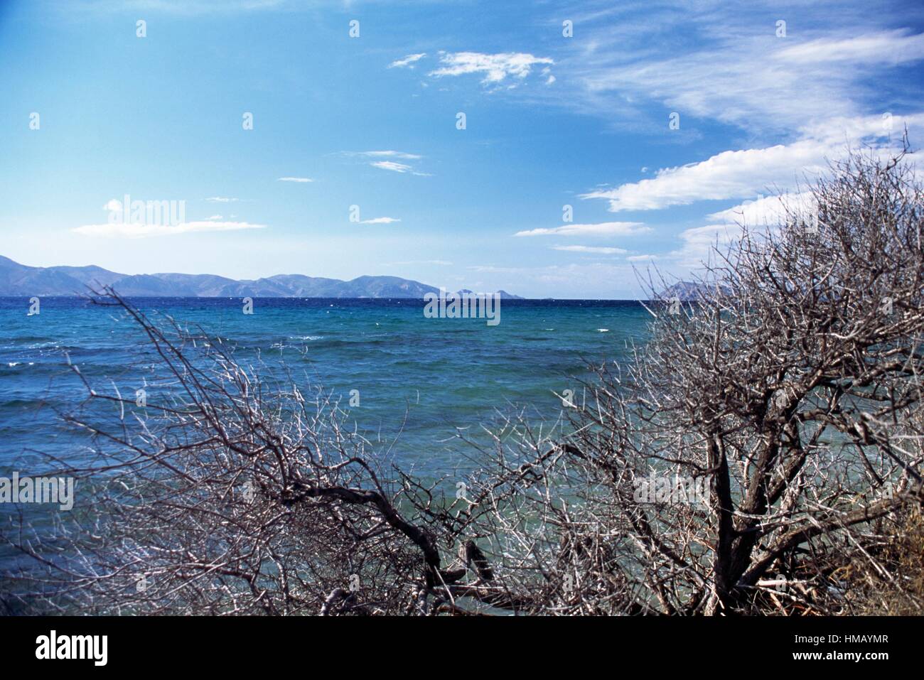 Shrubs on the seashore, Ermioni, Peloponnese, Greece Stock Photo - Alamy