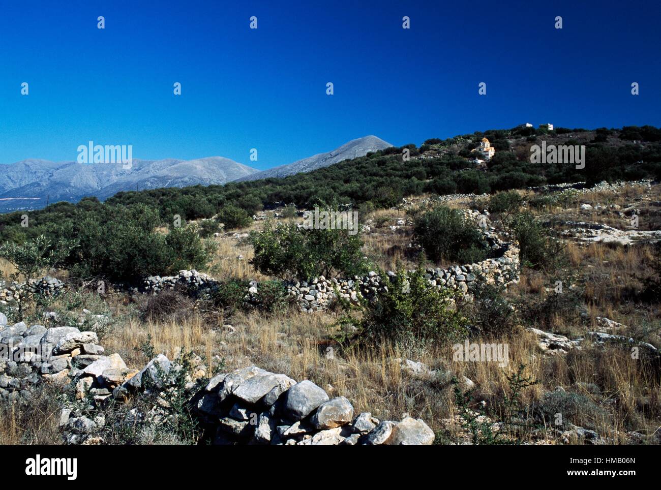 Landscape with stone walls in the western part of Mani peninsula ...