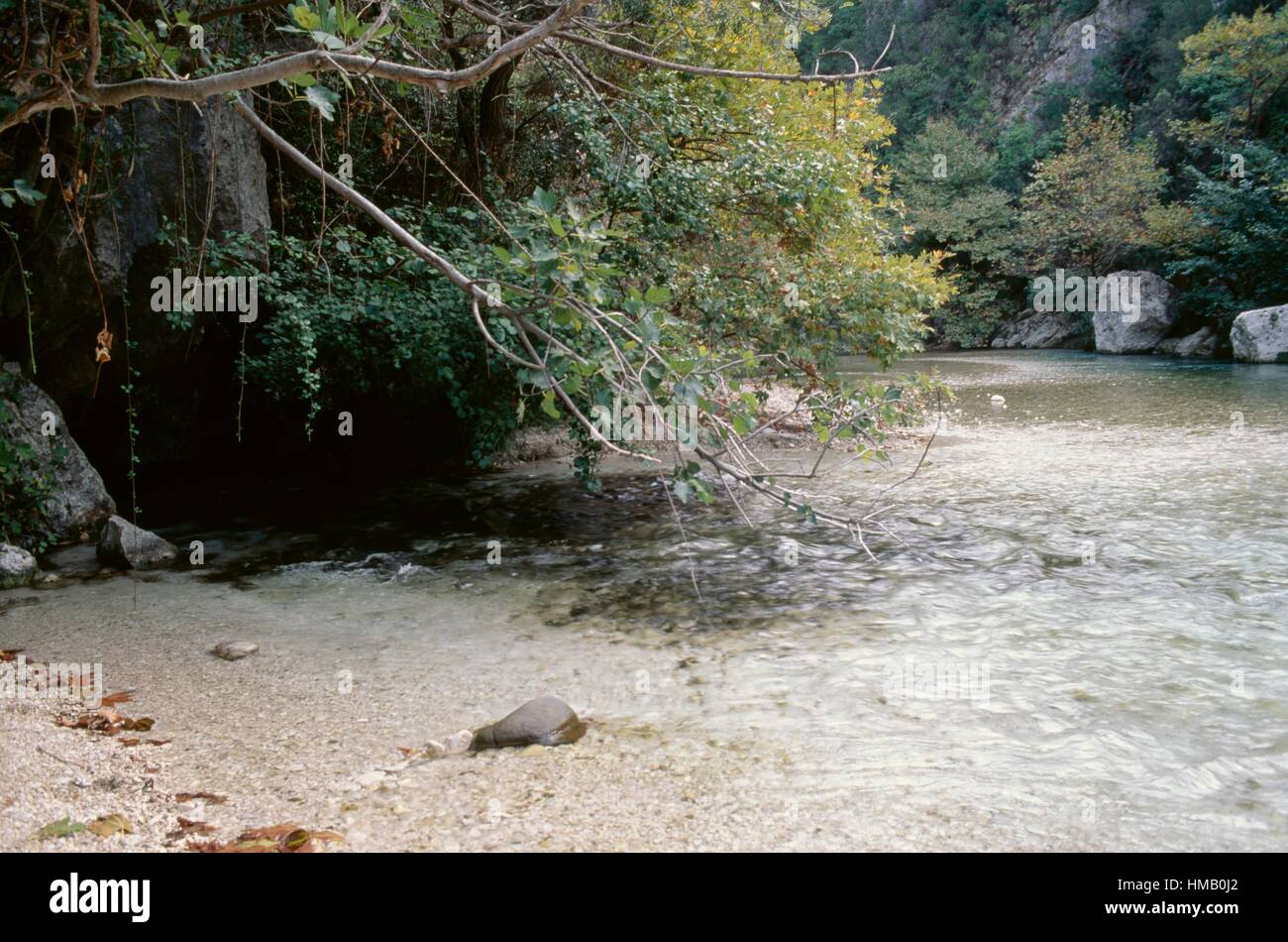 A section of the Acheron river, Greece Stock Photo - Alamy
