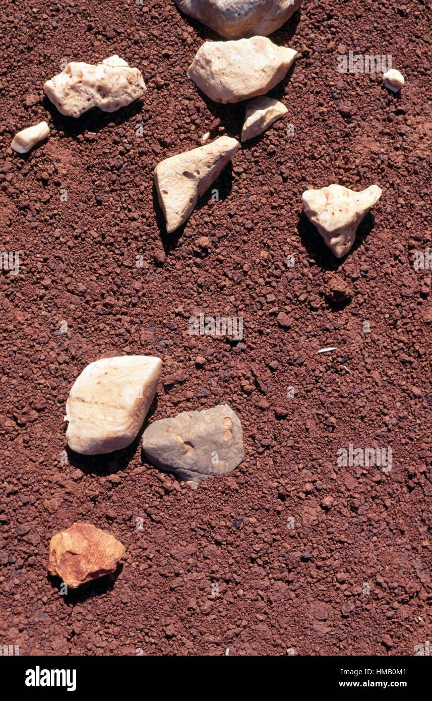 Stones on red soil, Lefkada island, Ionian islands, Greece Stock Photo ...