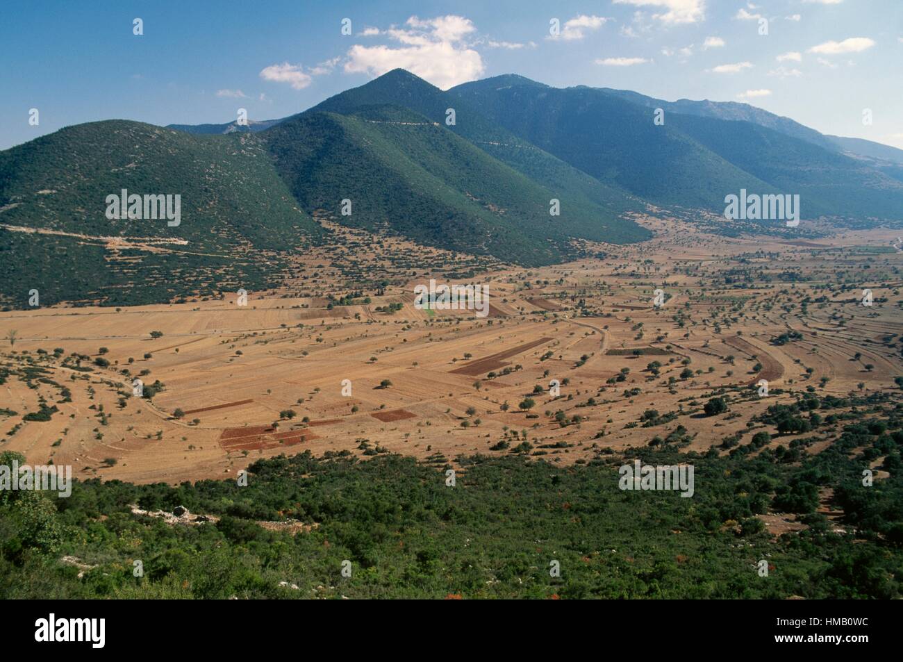 Orchomenus hi-res stock photography and images - Alamy