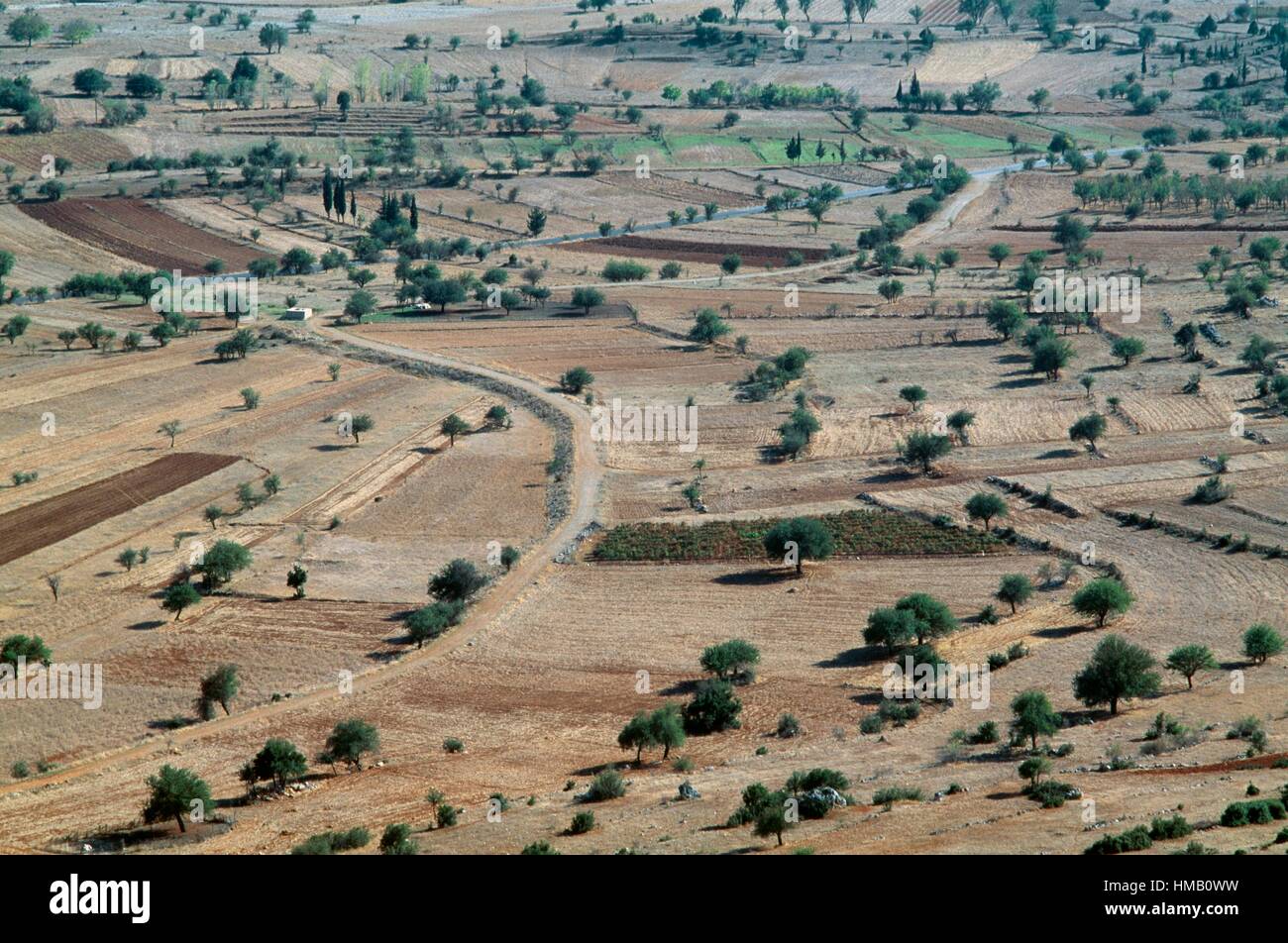 The plain of orchomenus hi-res stock photography and images - Alamy