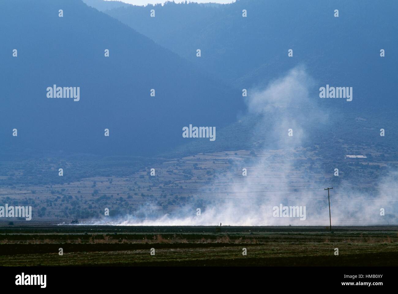 The plain of Orchomenus, Boeotia, Greece Stock Photo - Alamy