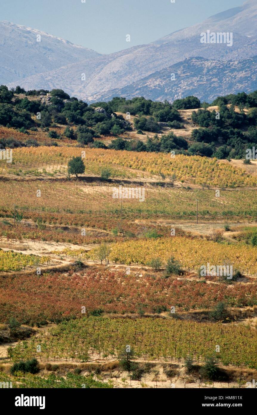 Cultivated fields in corinth hi-res stock photography and images - Alamy