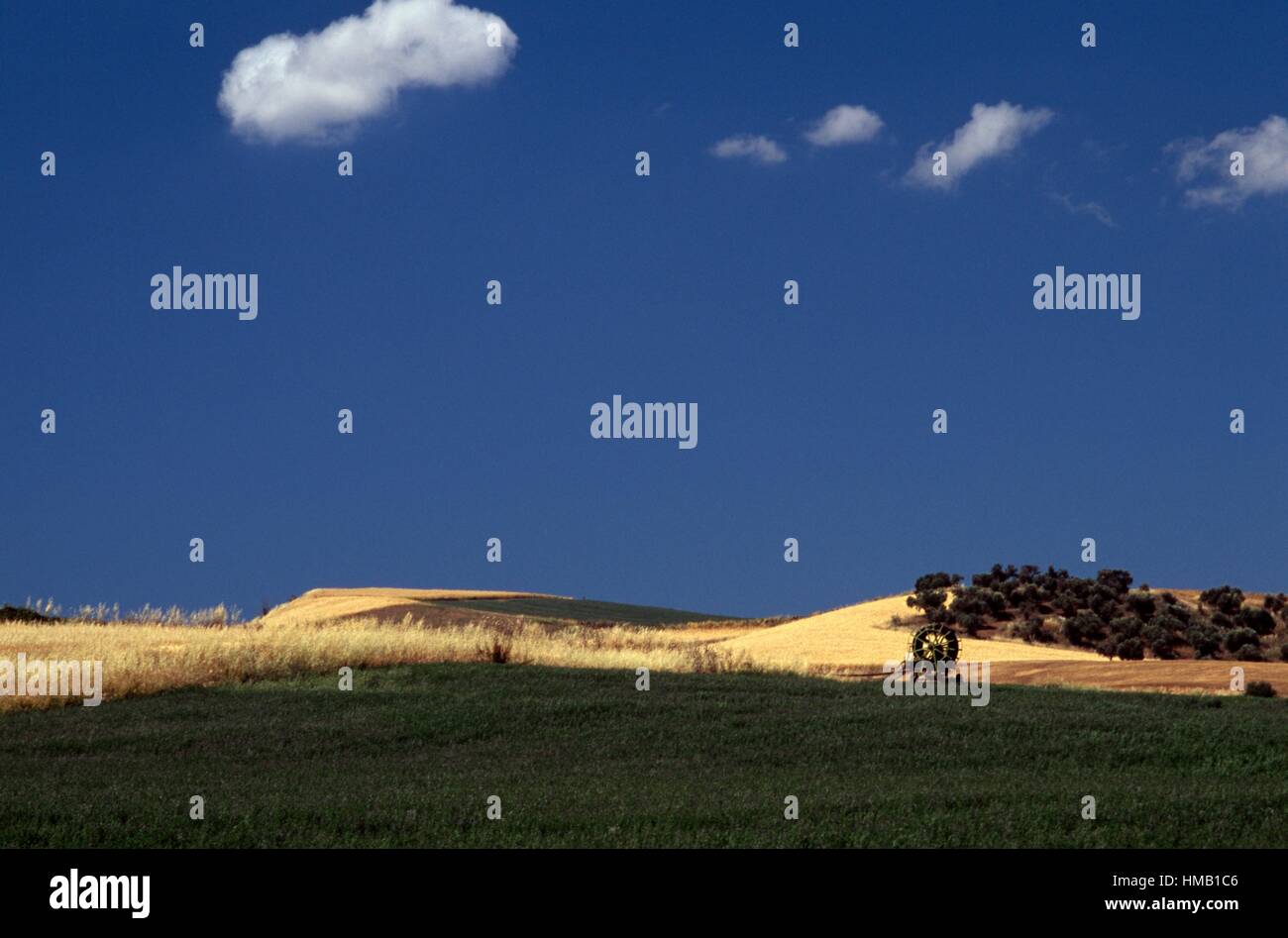 Cultivated fields, Valley of the Muses, near Mount Helicon, Boeotia ...