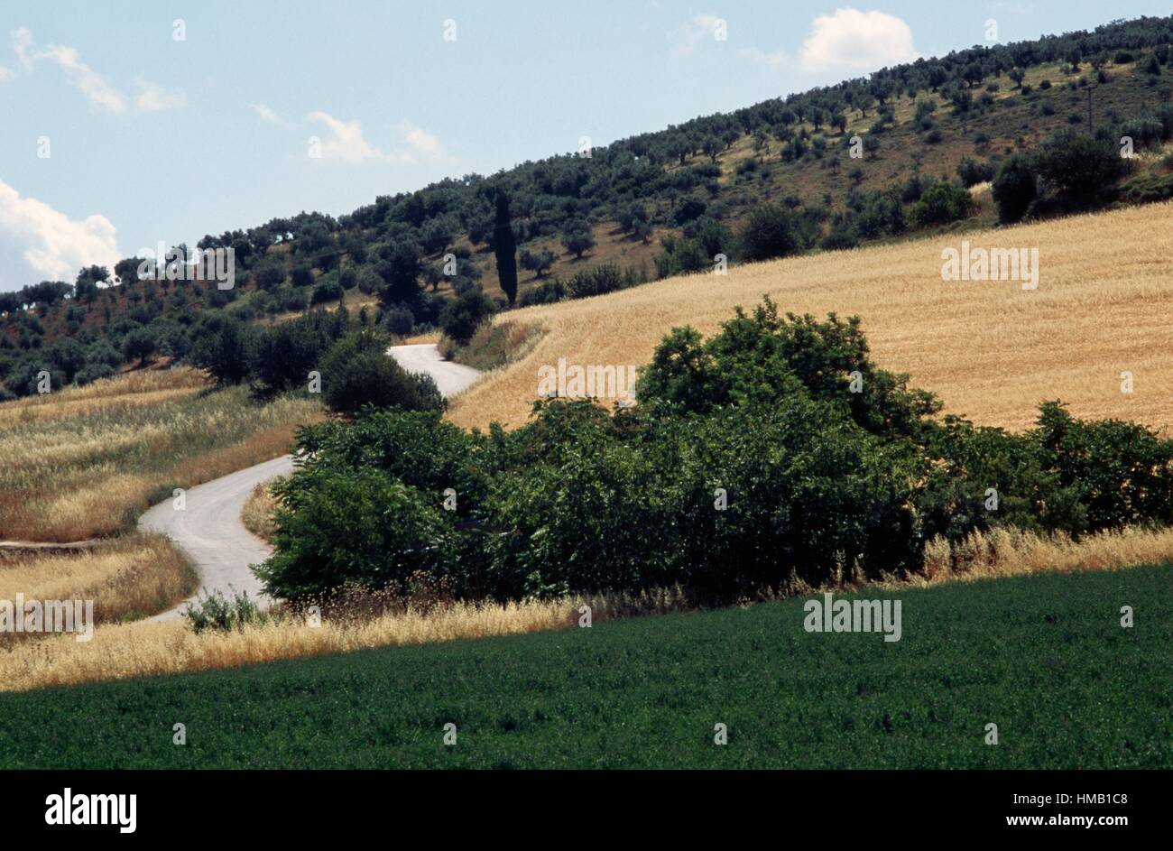 Valley of the muses mount helicon hi-res stock photography and images ...