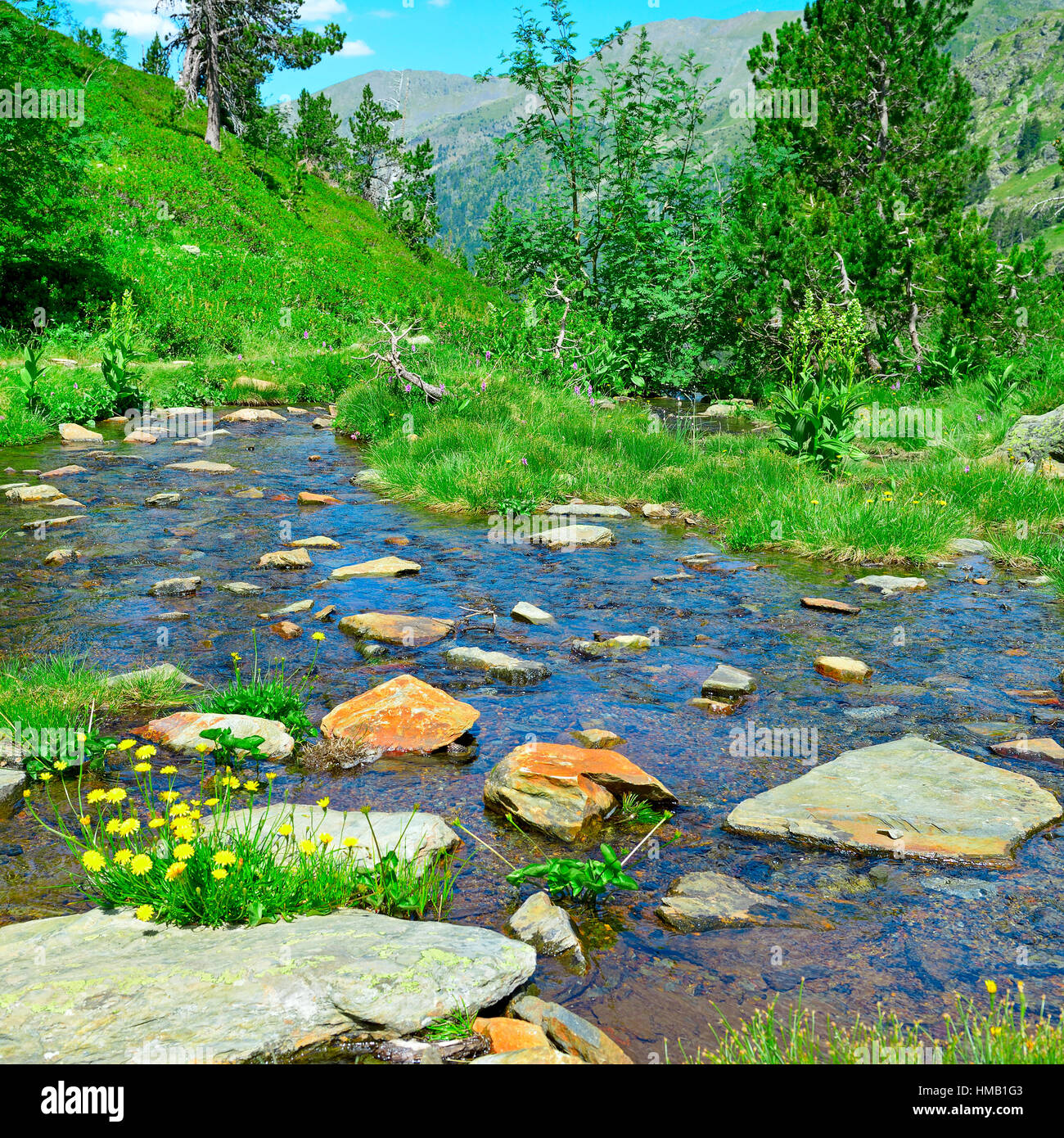 Scenic stream in the mountains Stock Photo - Alamy
