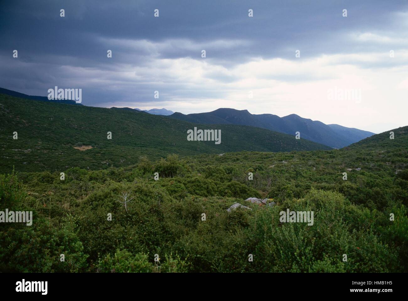 Countryside near Parnona, Peloponnese, Greece Stock Photo - Alamy