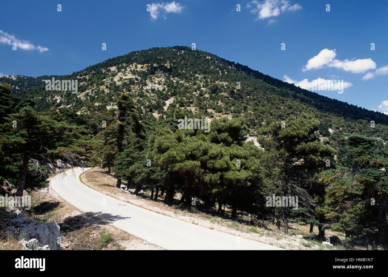 A road on Mount Cithaeron, Greece Stock Photo - Alamy