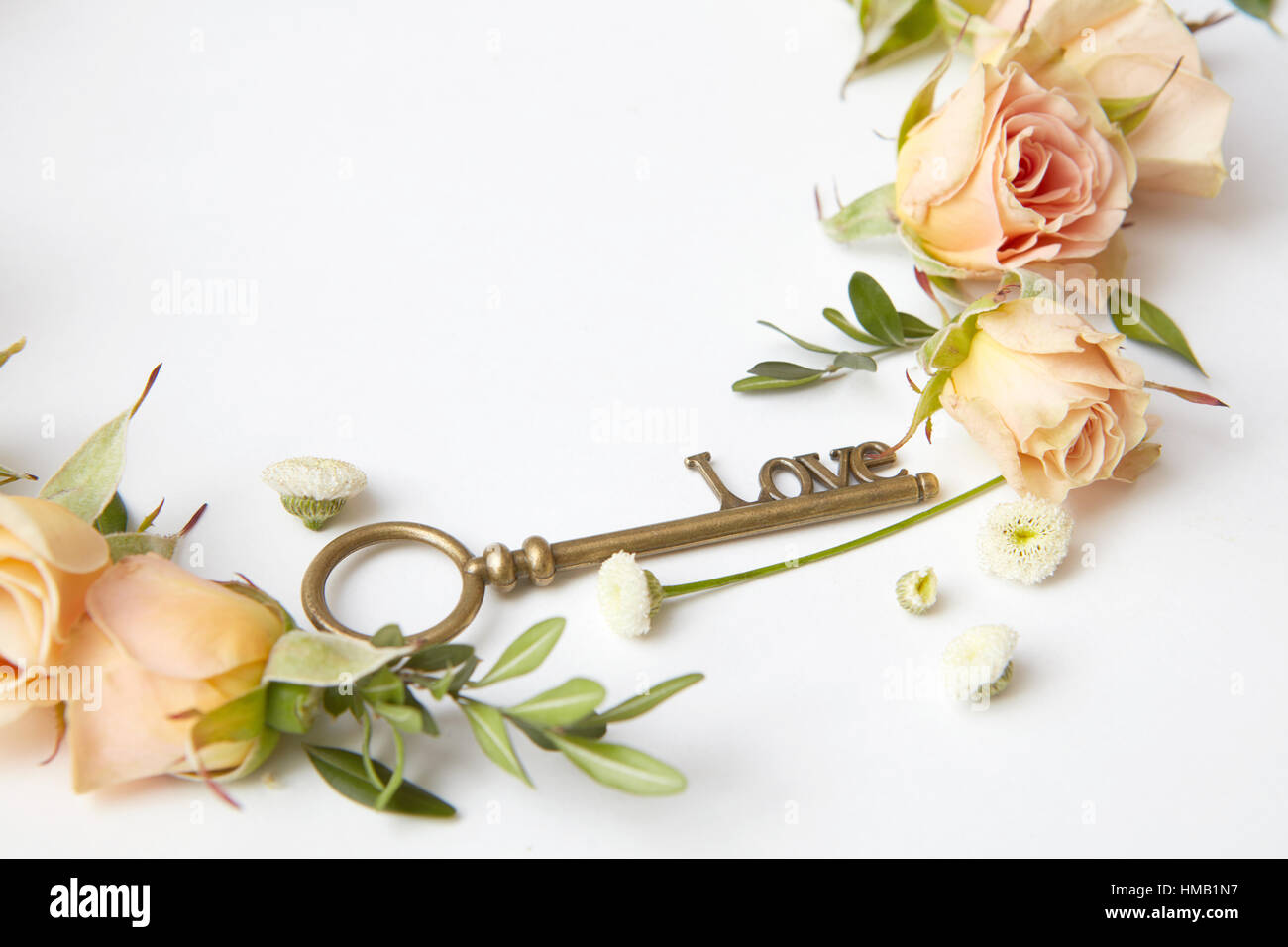 Key with rose petals as a symbol of love isolated on white Stock Photo ...