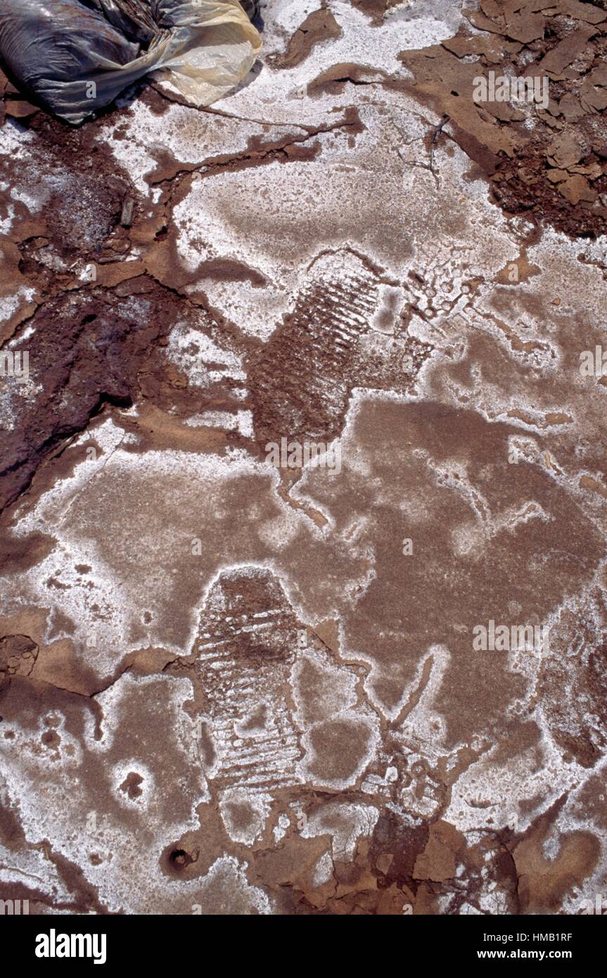 Salt deposits and footprints on rock, Lavrion, Attica, Greece Stock ...