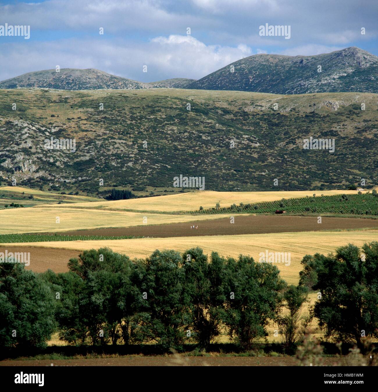 Thebes Greece High Resolution Stock Photography and Images - Alamy