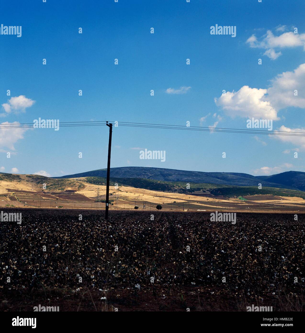 Hilly landscape with a high voltage pylon, Thessaly, Greece Stock Photo ...